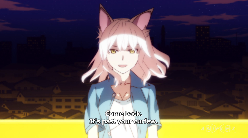 Tsubasa Hanekawa Tiger List Of Monogatari Characters Wikipedia